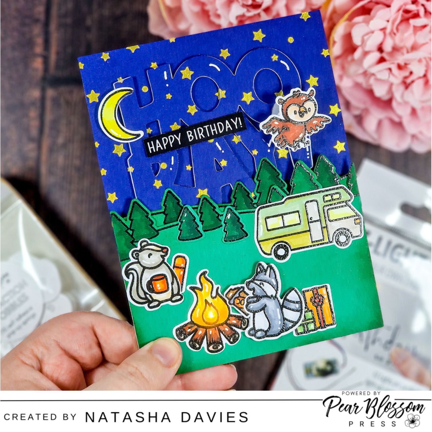 Light Up Campfire Birthday Card - Crafting My Place In The World